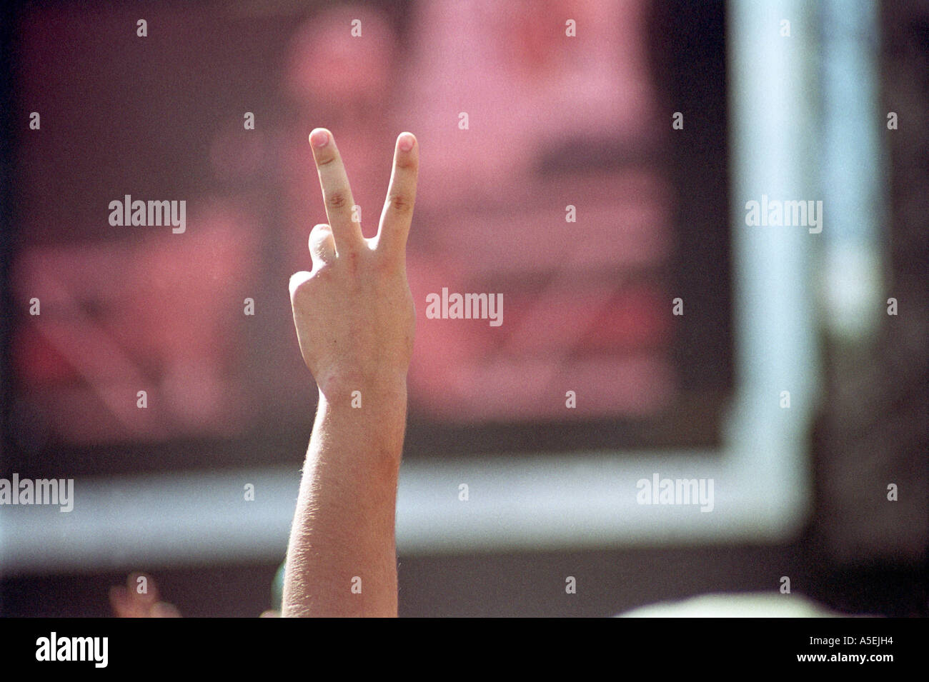 hand raised in music concert Stock Photo - Alamy