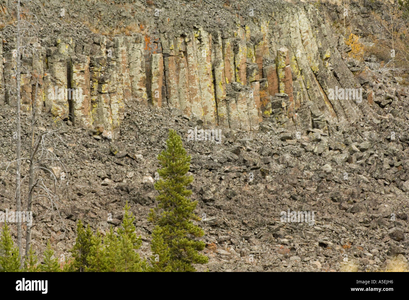 Columnar cooling joints, Sheepeater Cliff, Yellowstone National Park ...