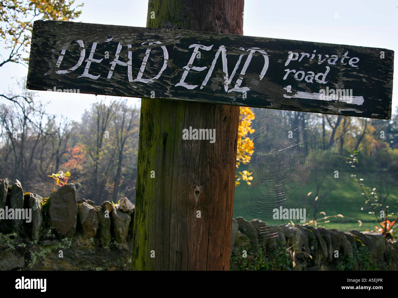 An old fashioned sign glittering with a spider web marks a dead end on ...