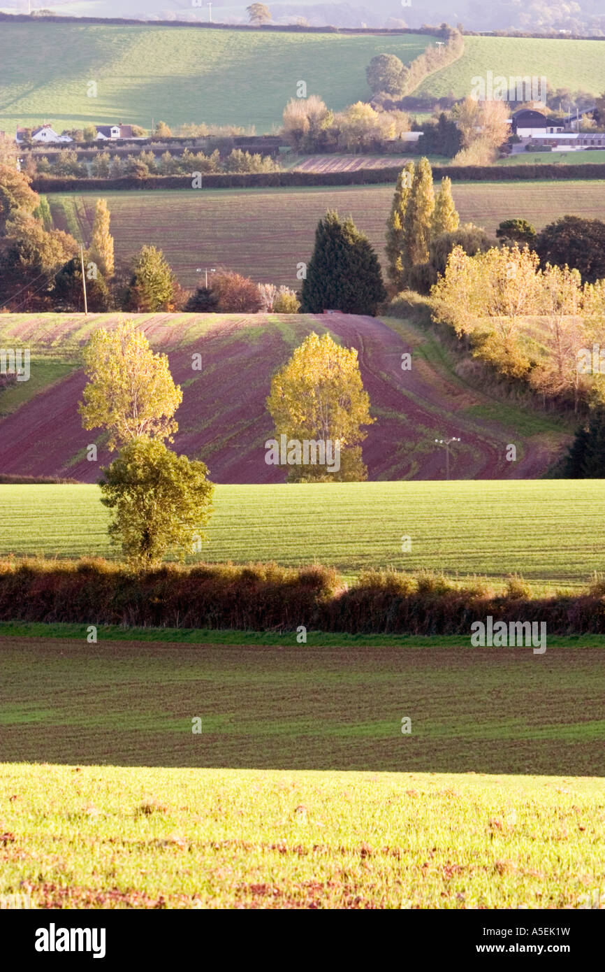 An abstract view of the English countryside in Devon Stock Photo - Alamy