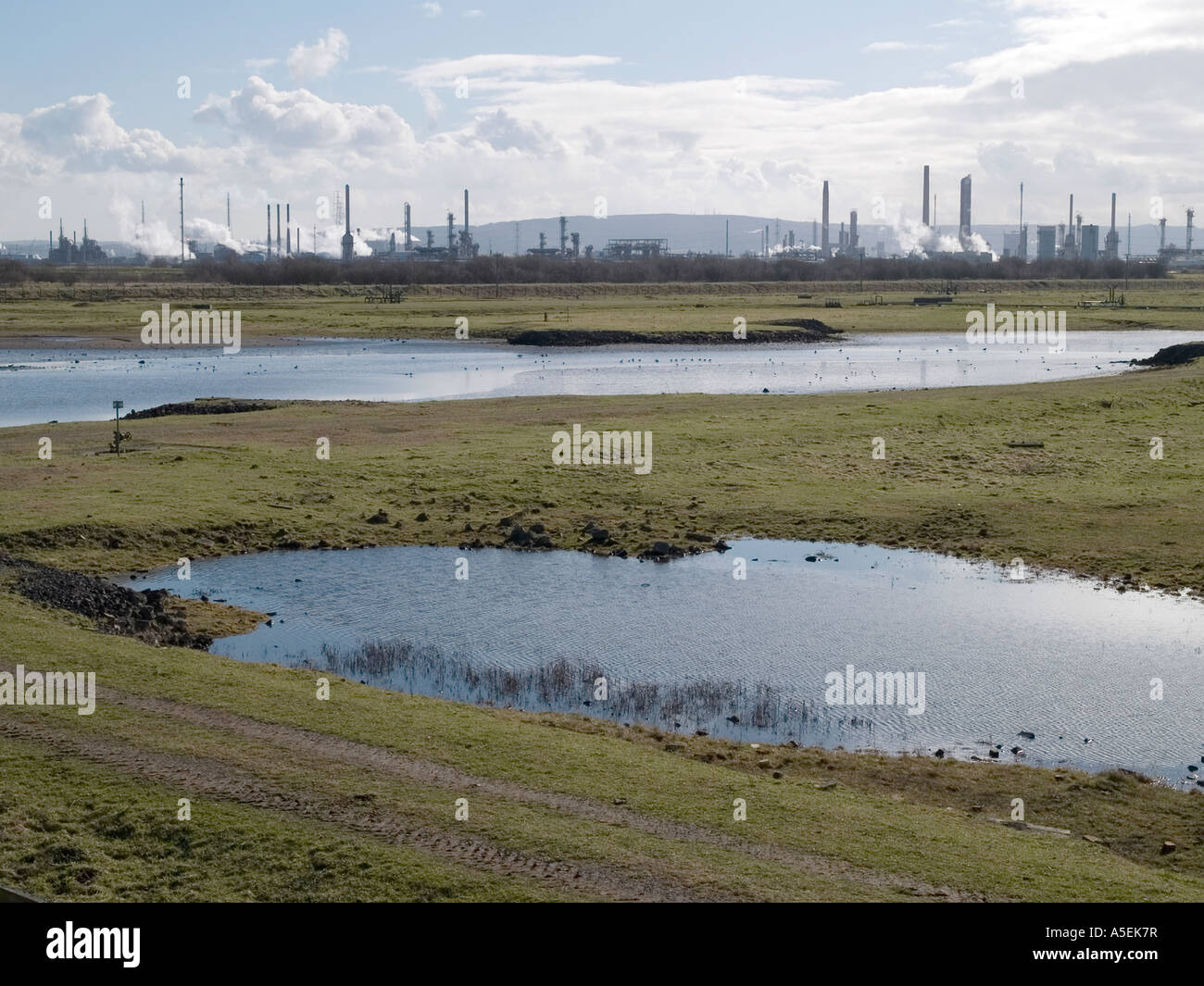 Oil refinery and pond hi-res stock photography and images - Alamy