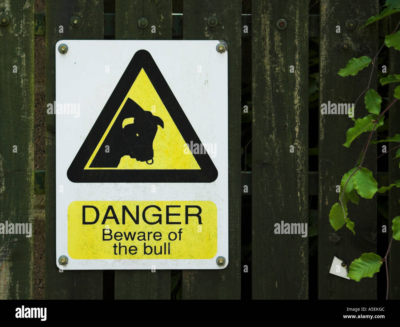Danger Beware of the bull sign at field Stock Photo - Alamy