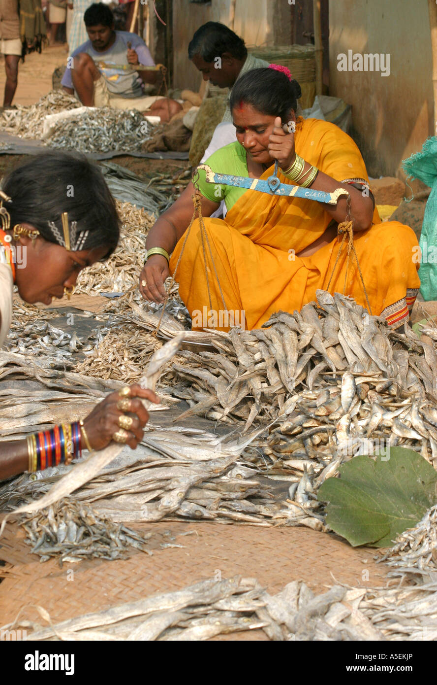 Desia Kondh tribal women buying fish at their weekly market in Orissa ...