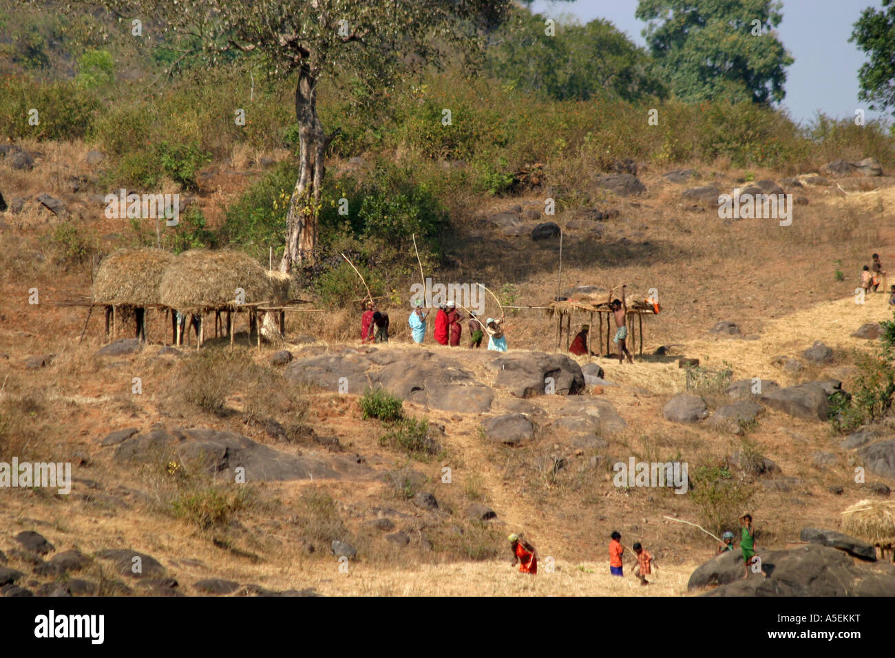 Tribal community working together hi-res stock photography and images ...