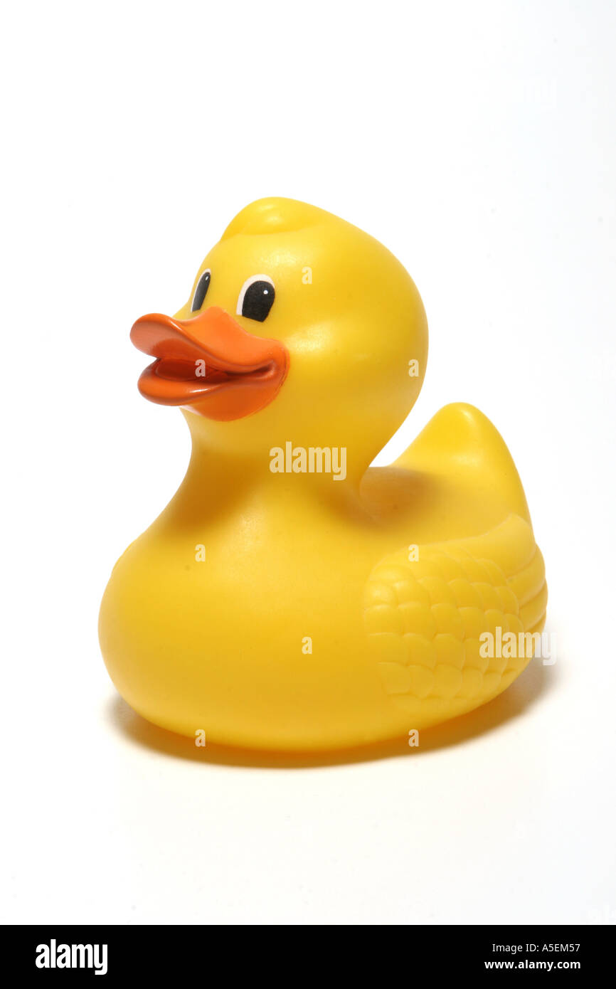 Yellow rubber duck Stock Photo - Alamy