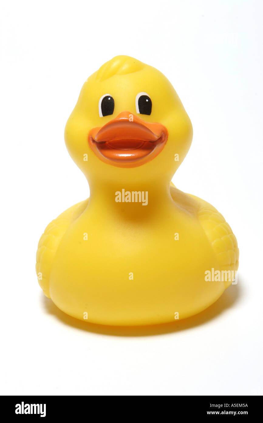 Yellow rubber duck Stock Photo - Alamy