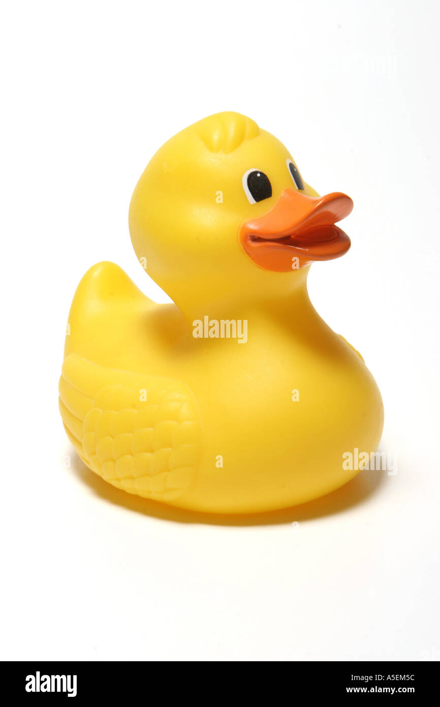 Yellow rubber duck Stock Photo - Alamy