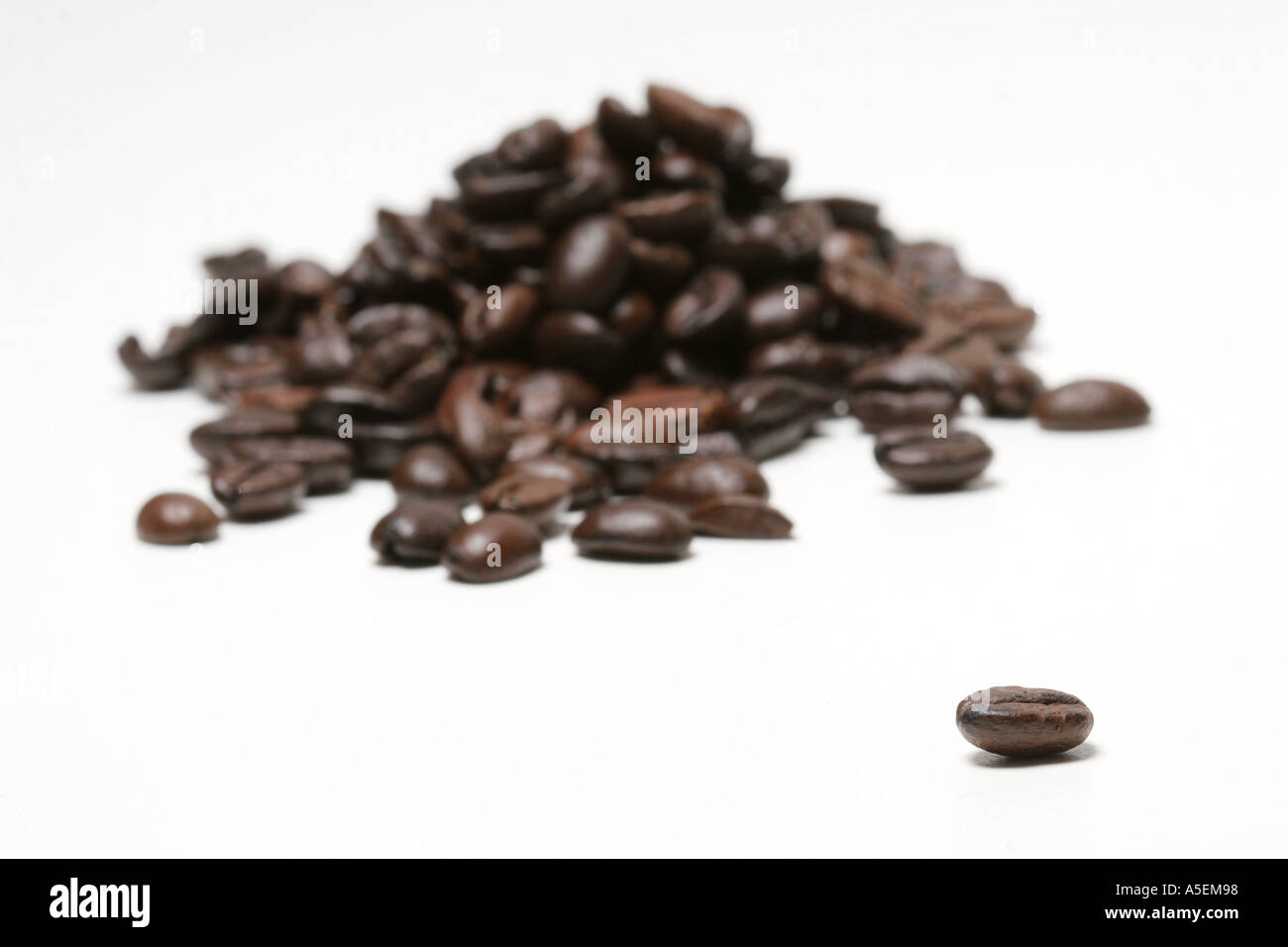 Coffee beans single bean in focus Stock Photo - Alamy