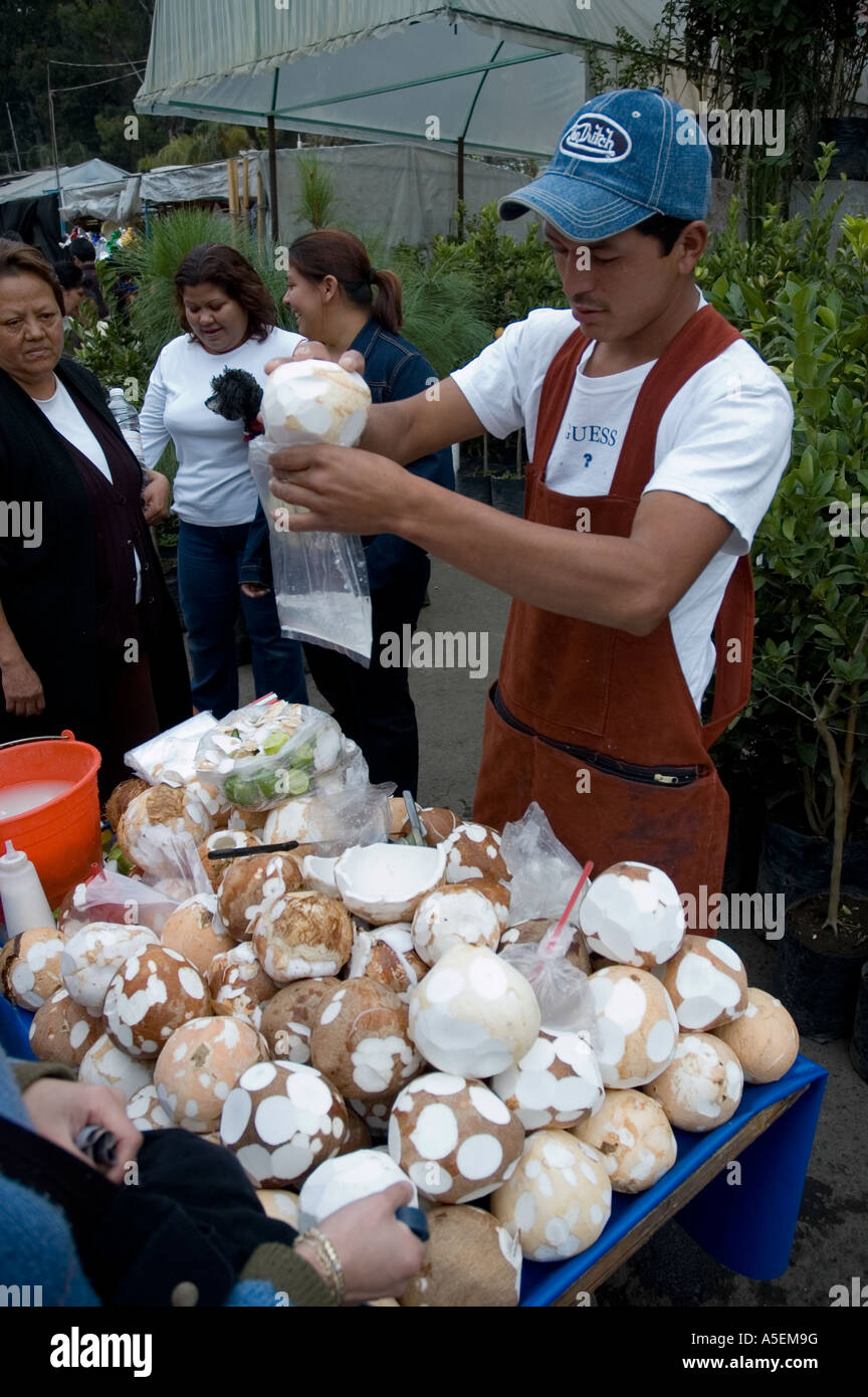 a boy peeling cocos - mexico Stock Photo - Alamy