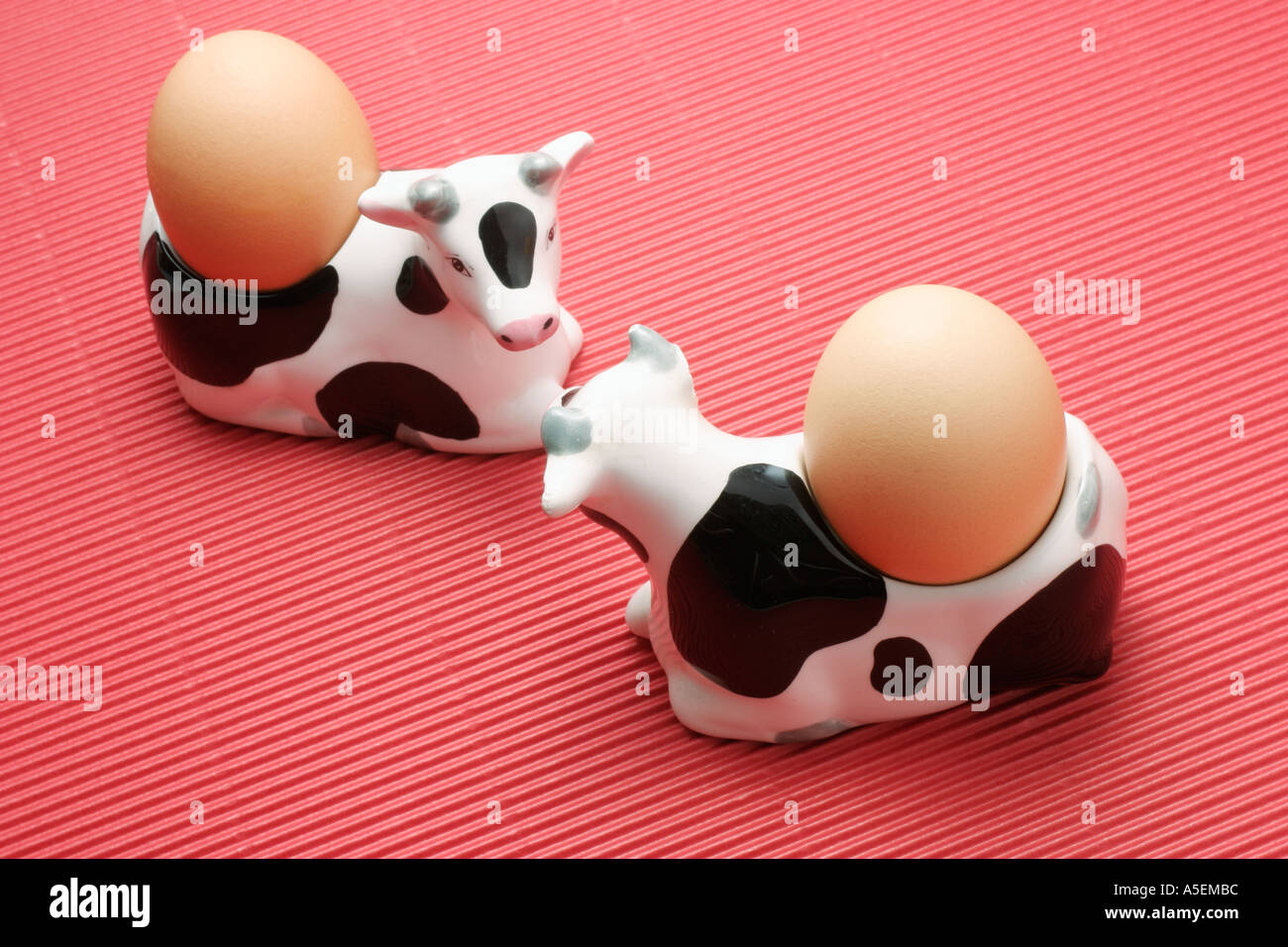 Eggs on Cow Egg Holders Stock Photo - Alamy