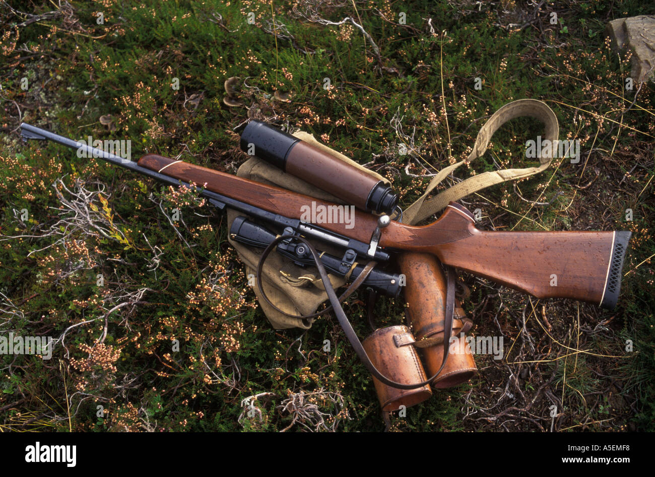 Scottish rifles hi-res stock photography and images - Alamy