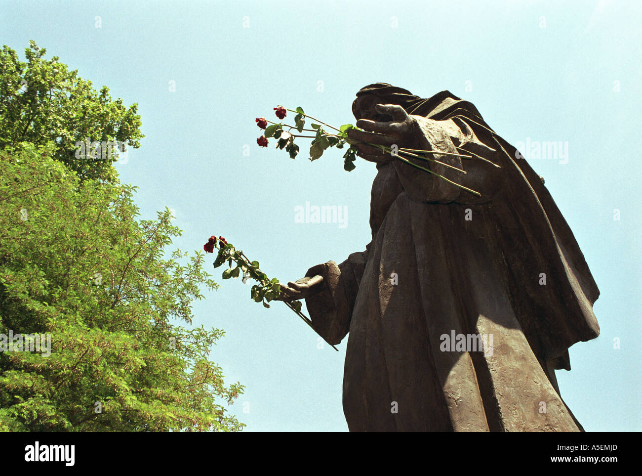 Christ rose blooms hi-res stock photography and images - Alamy