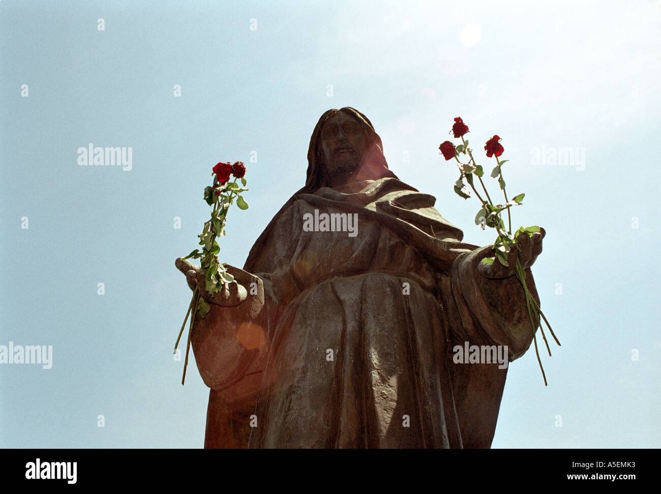 Christ rose blooms hi-res stock photography and images - Alamy