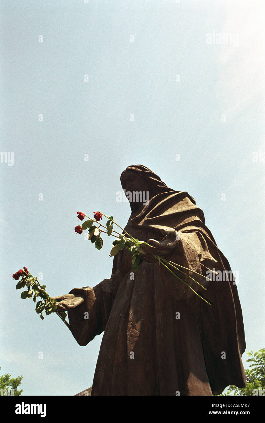 Christ rose blooms hi-res stock photography and images - Alamy