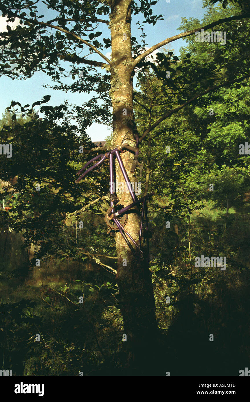 Tree banger hi-res stock photography and images - Alamy