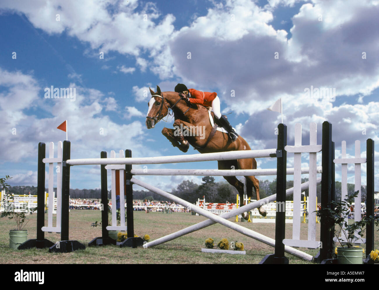 Competition eventing hi-res stock photography and images - Alamy