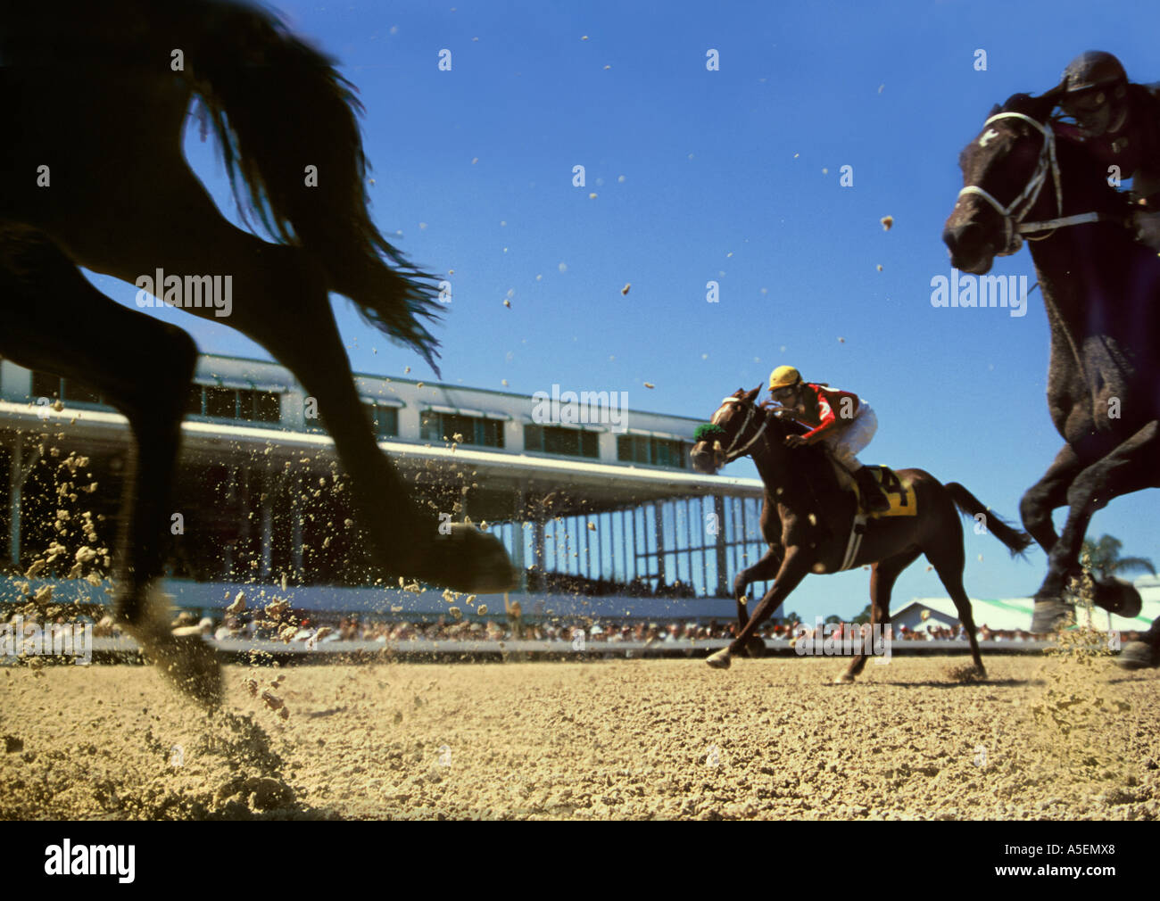 Thoroughbred horse race at finish from inside rail Stock Photo - Alamy
