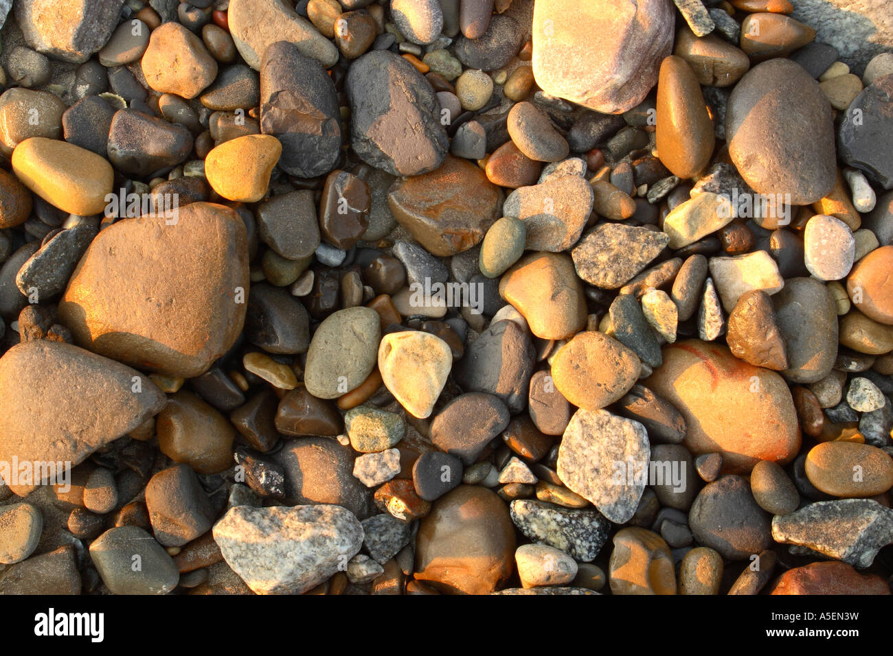Variety of boulders on beach such as quartz shales and sandstones Stock ...