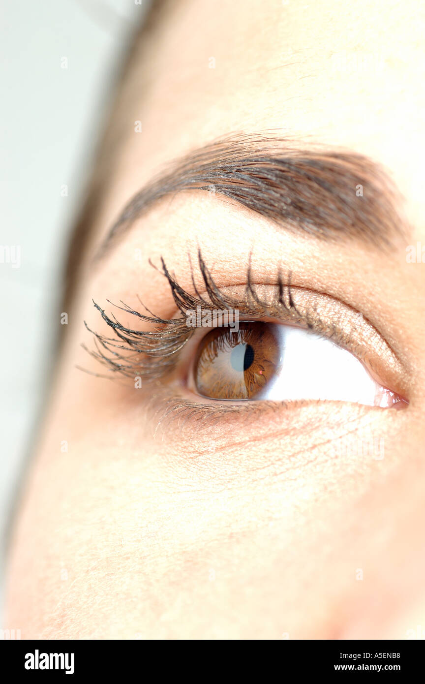 Eye brow pencil hi-res stock photography and images - Alamy