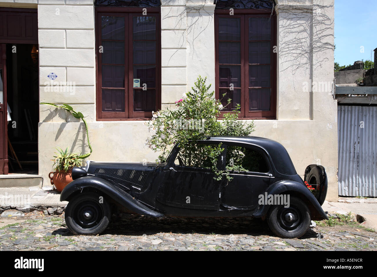 Uruguay Alt Altes Old Car Auto Wagen Oldtimer PKW 2CV Stock Photo - Alamy