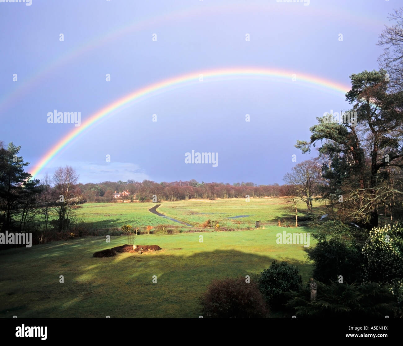 Rainbow appearing through the trees in the English countryside ...