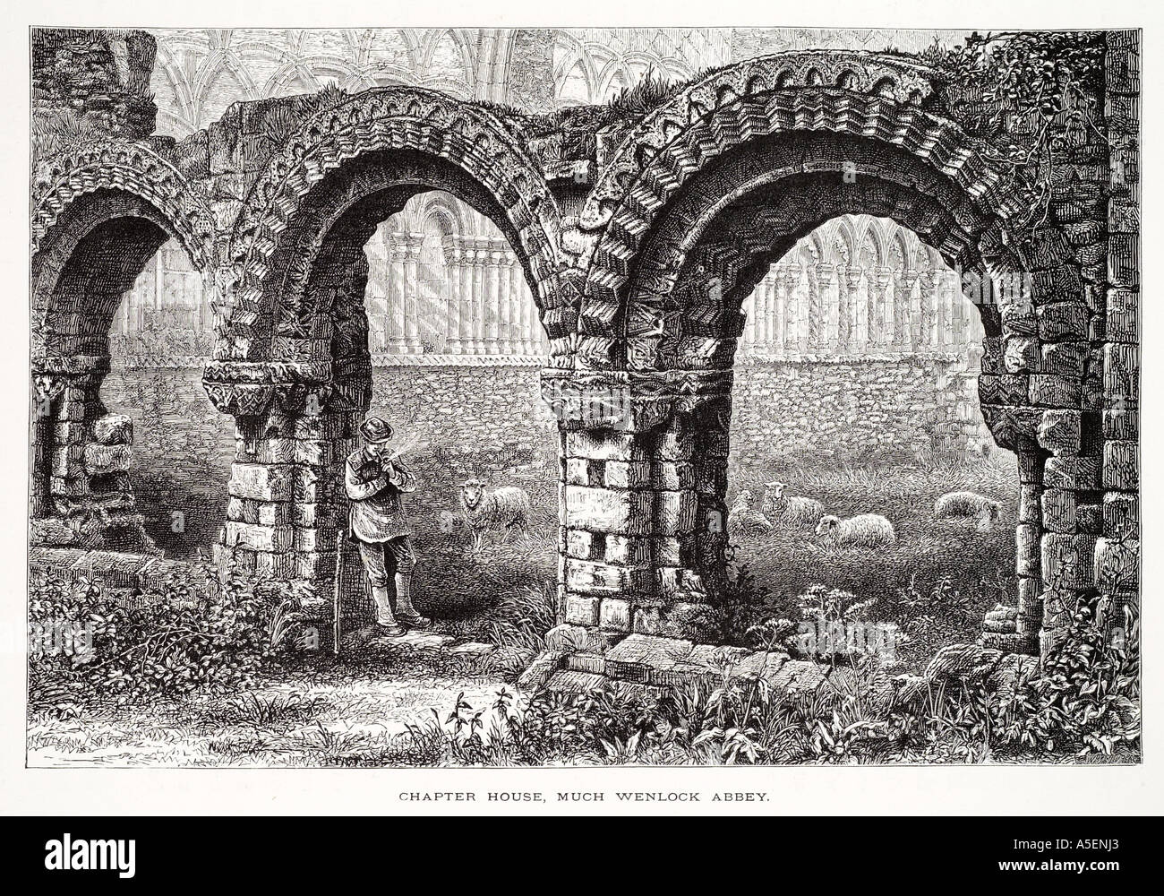Gothic arch line drawing hi-res stock photography and images - Alamy