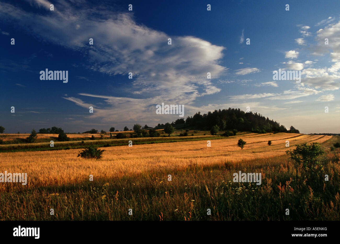 Roztocze region in south east Poland Stock Photo - Alamy