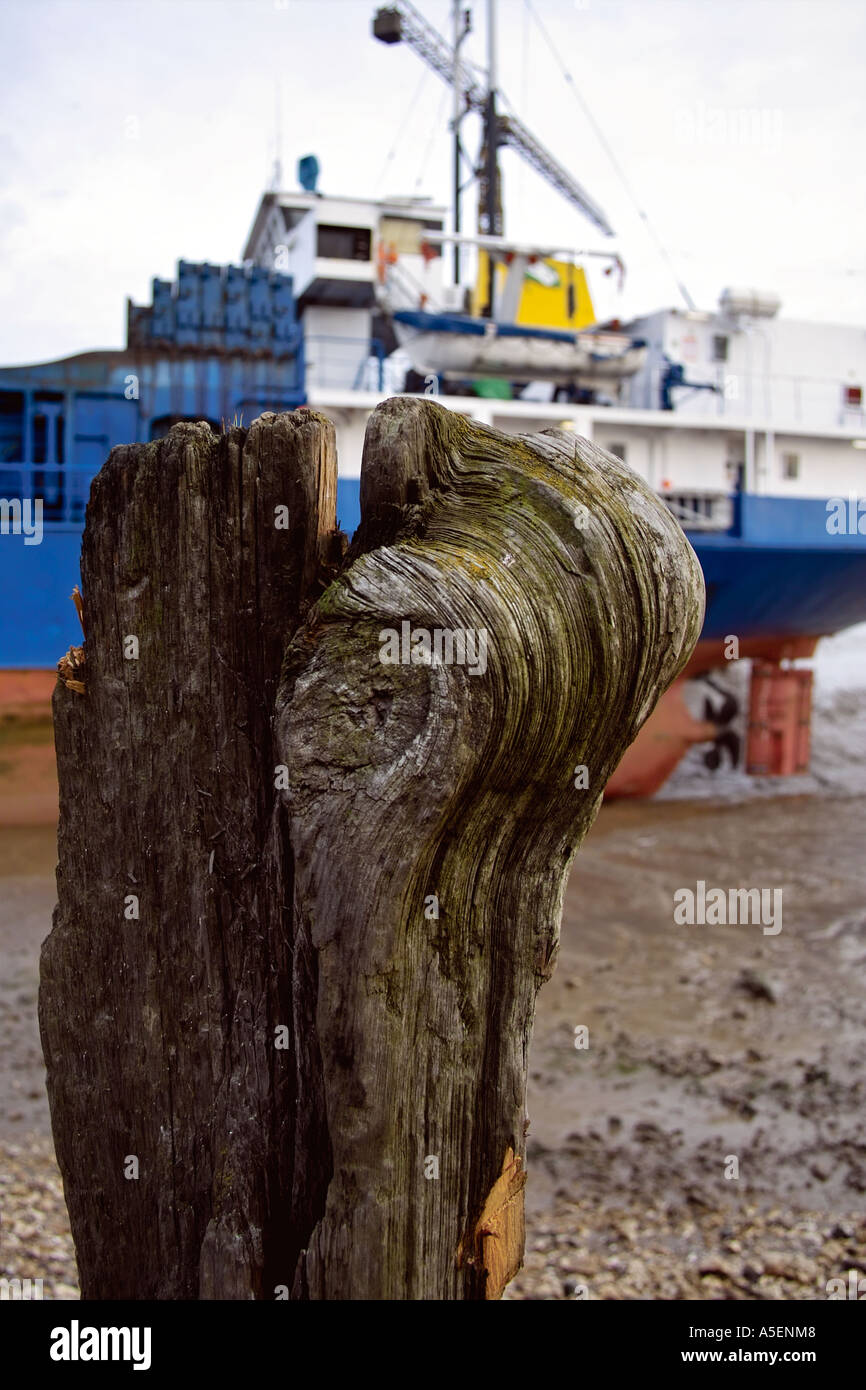 Wooden Mooring post Humber estuary in Hull Stock Photo - Alamy