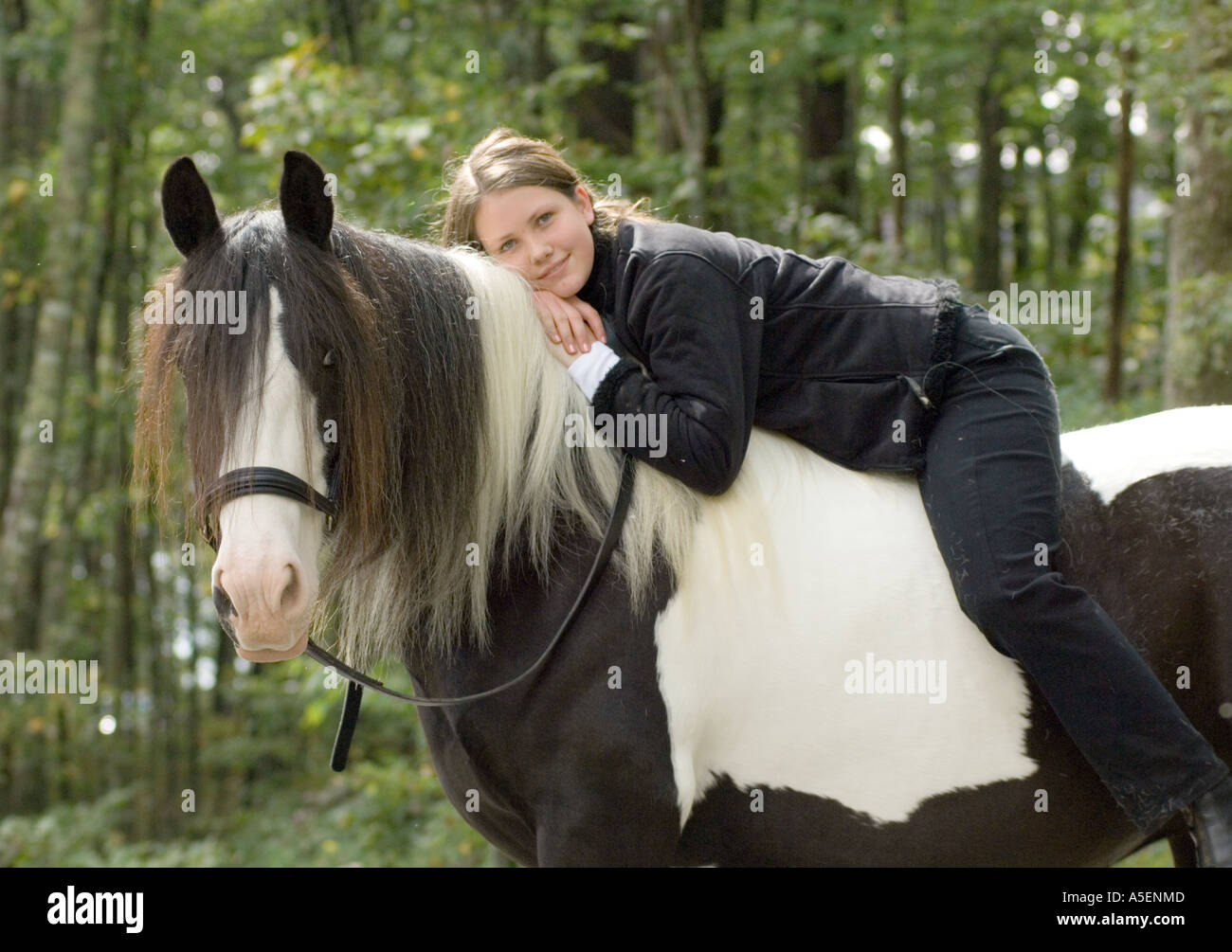 Teen girl lying bareback on Gypsy Vanner Horse mare Stock Photo - Alamy