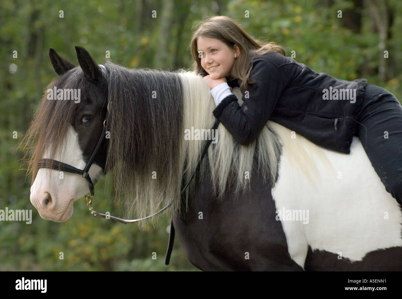 Teen girl lying bareback on Gypsy Vanner Horse mare Stock Photo - Alamy