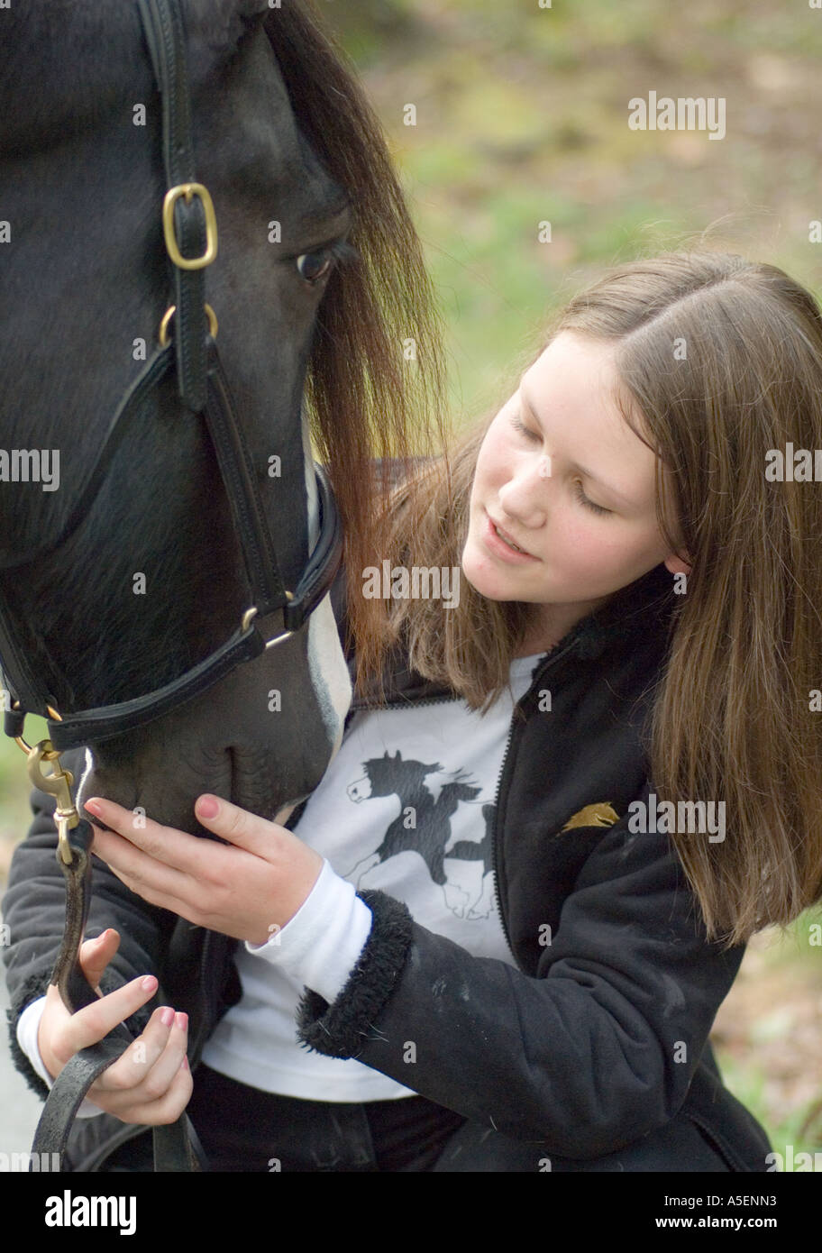 Teen girl hugs Gypsy Vanner Horse mare Stock Photo - Alamy