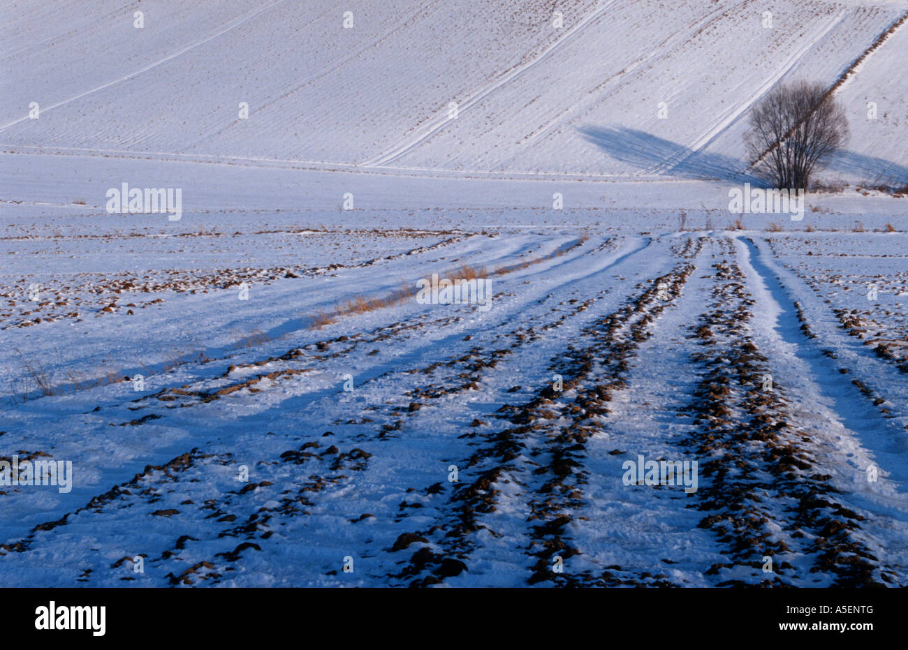 Roztocze region in south east Poland Stock Photo - Alamy
