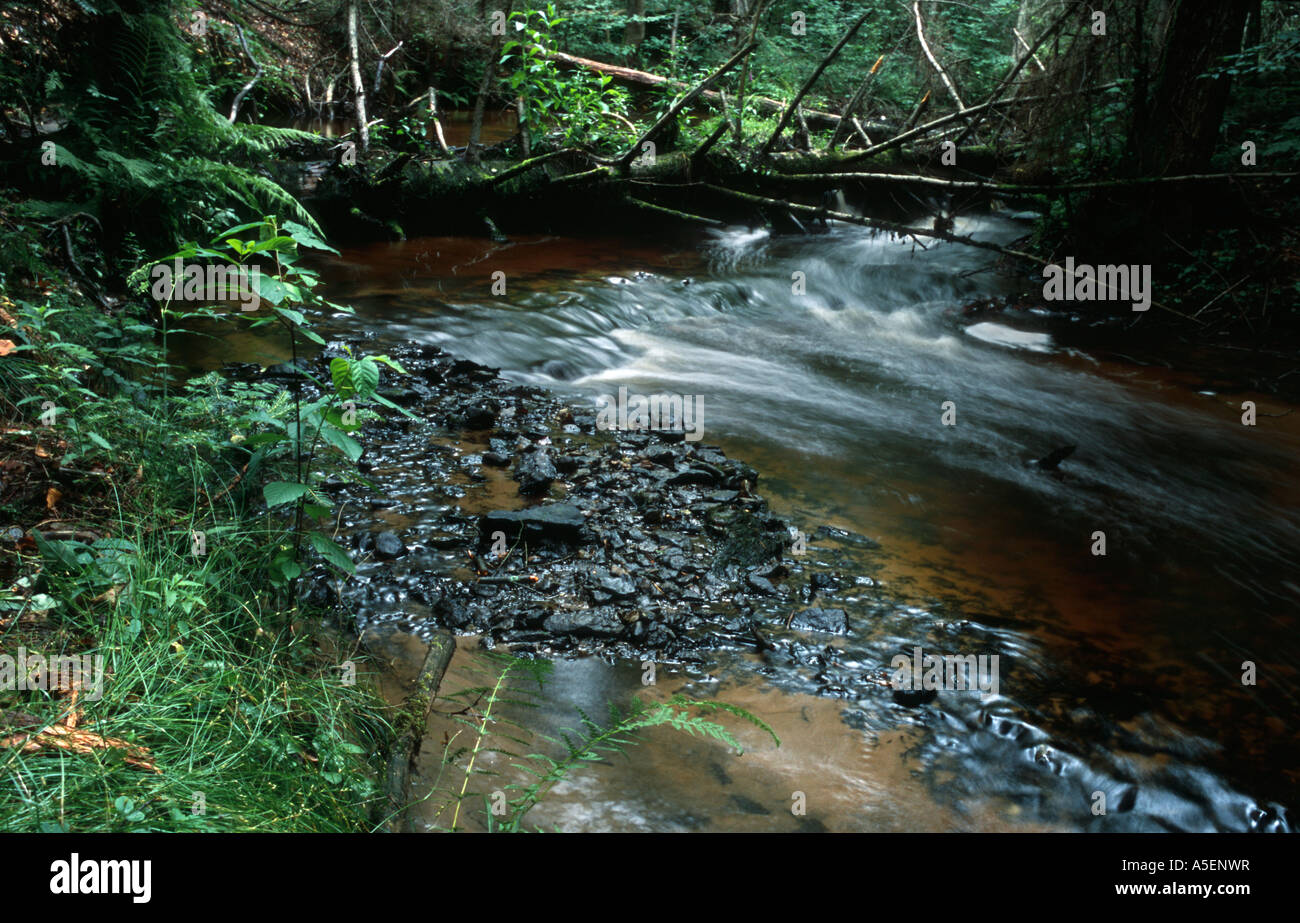 Roztocze National Park , Roztocze region in south east Poland Stock ...