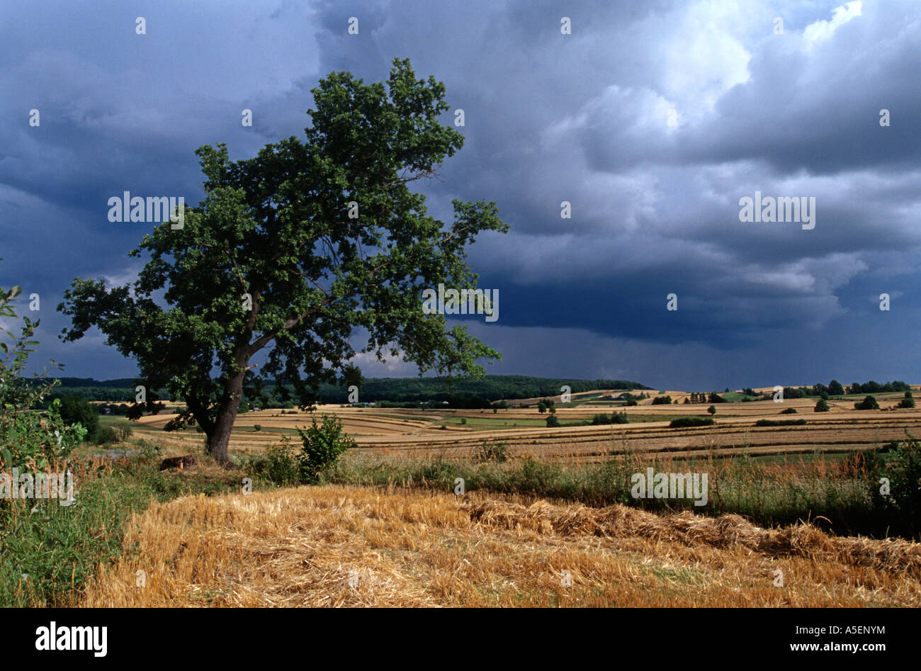 Roztocze Region in South East Poland Stock Photo - Alamy