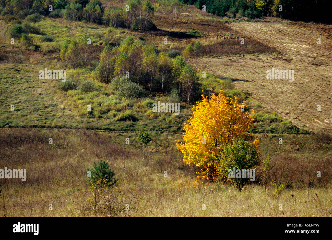 Roztocze Region in South East Poland Stock Photo - Alamy