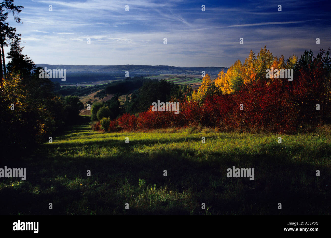 Roztocze region in south east Poland Stock Photo - Alamy