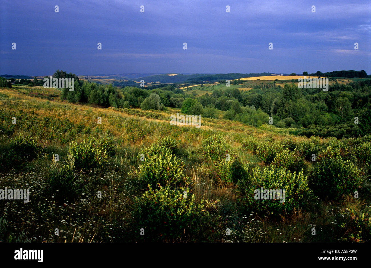 Roztocze region in south east Poland Stock Photo - Alamy