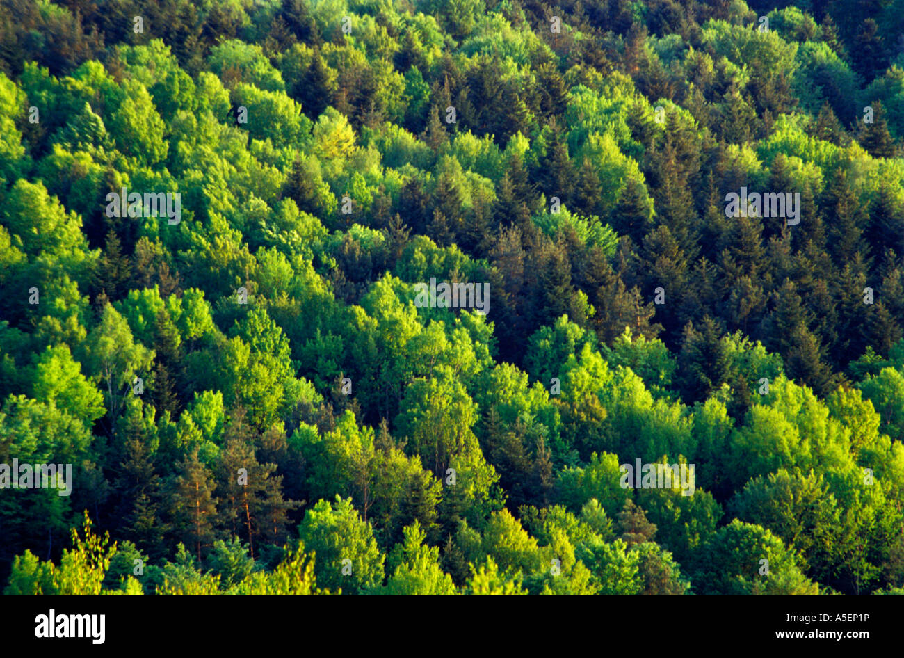 Roztocze region in south east Poland bird's eye view Stock Photo - Alamy