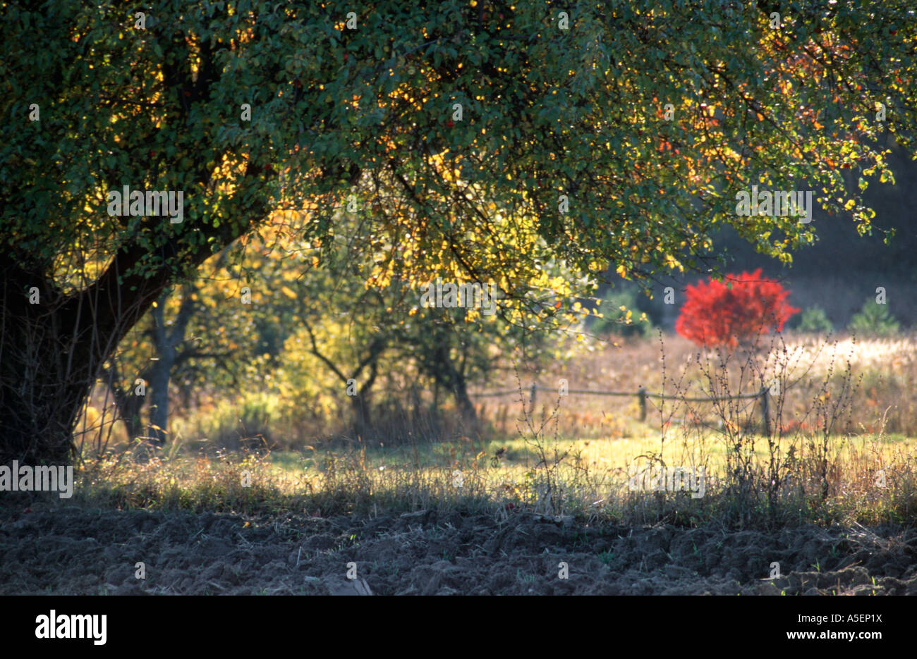 Roztocze region in south east Poland Stock Photo - Alamy