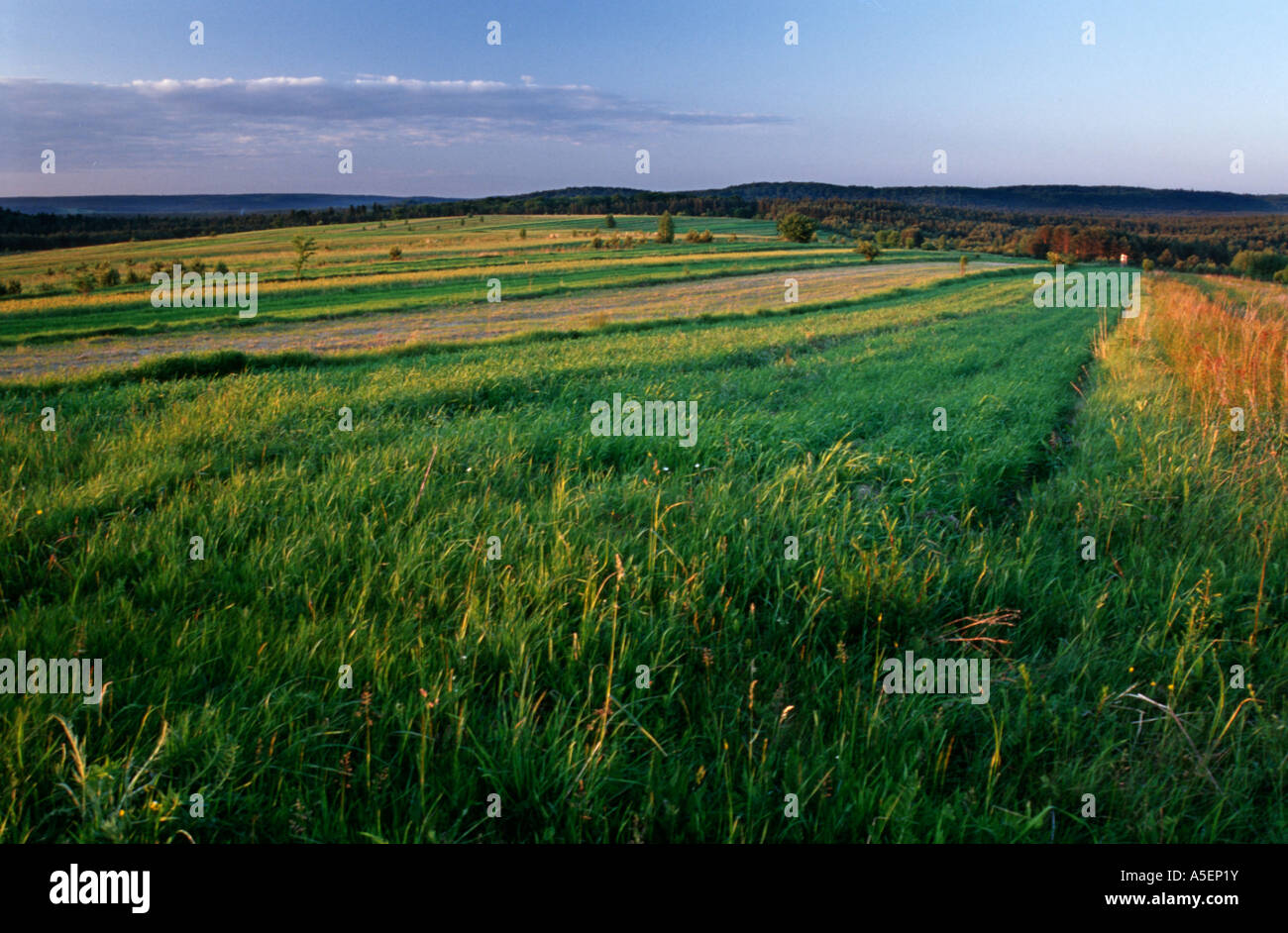 Roztocze region in south east Poland Stock Photo - Alamy