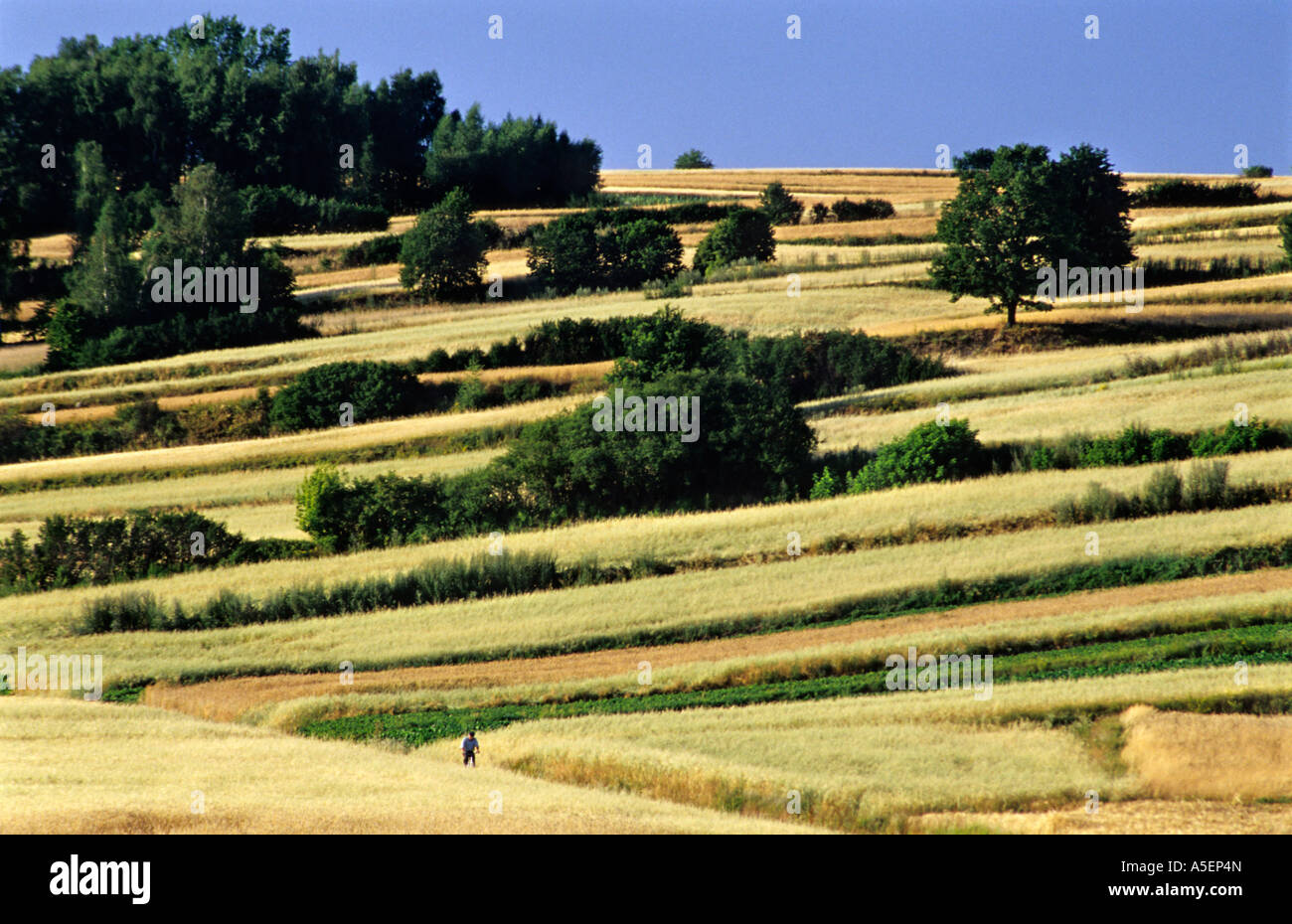 Roztocze region in south east Poland Stock Photo - Alamy
