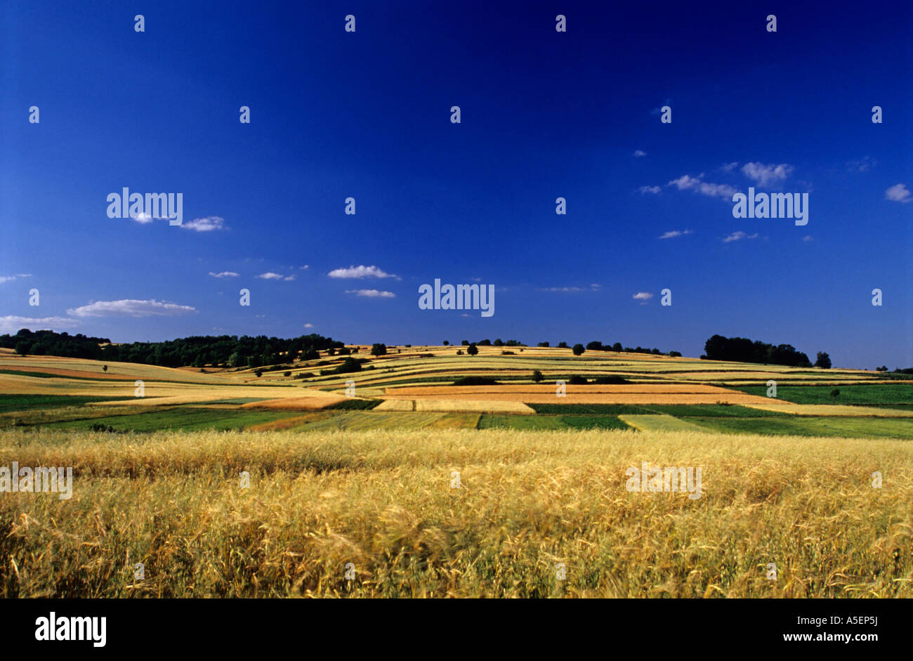 Roztocze region in south east Poland Stock Photo - Alamy