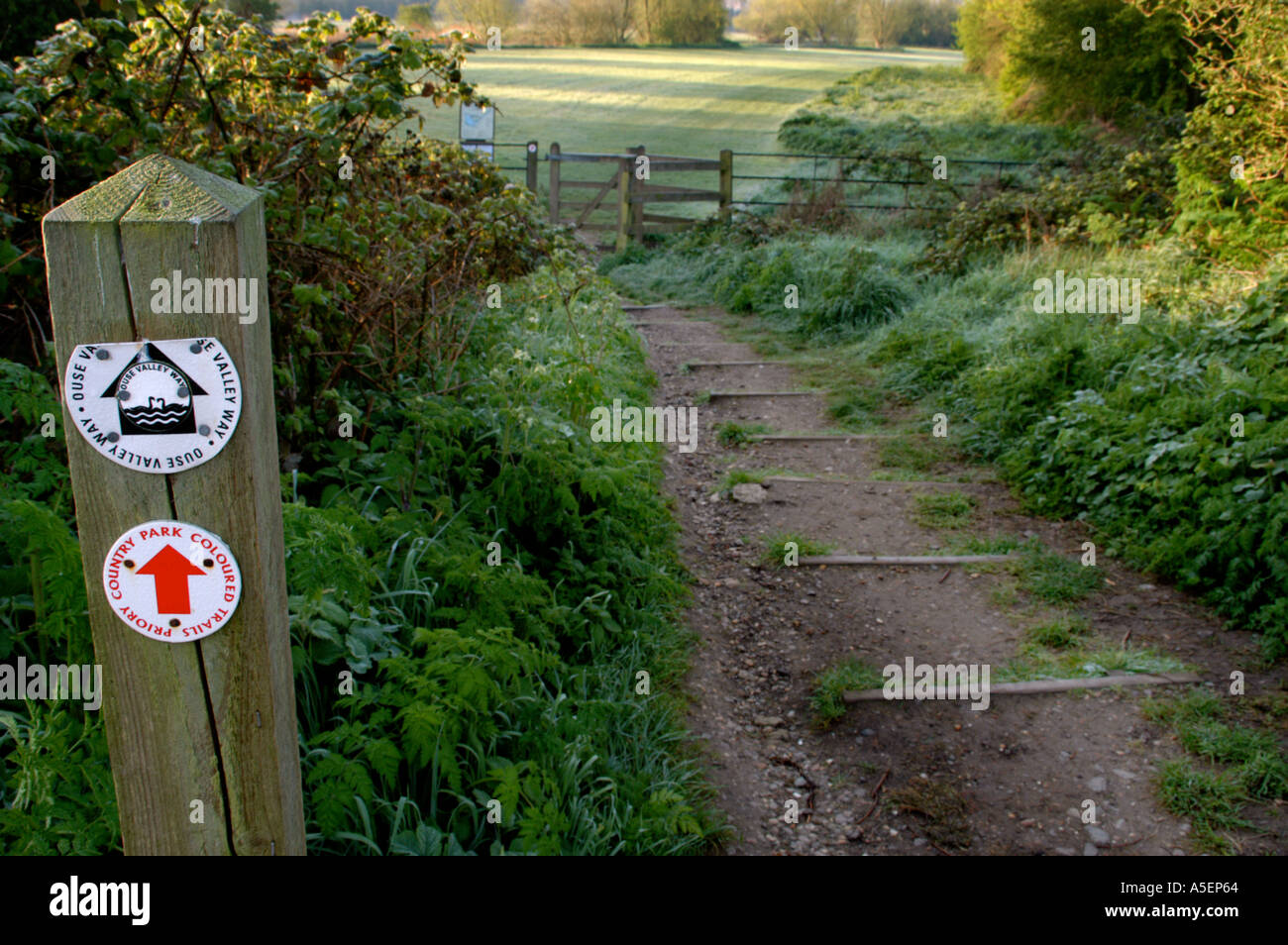 country park coloured walk way in ouse valley with wooden steps Stock ...