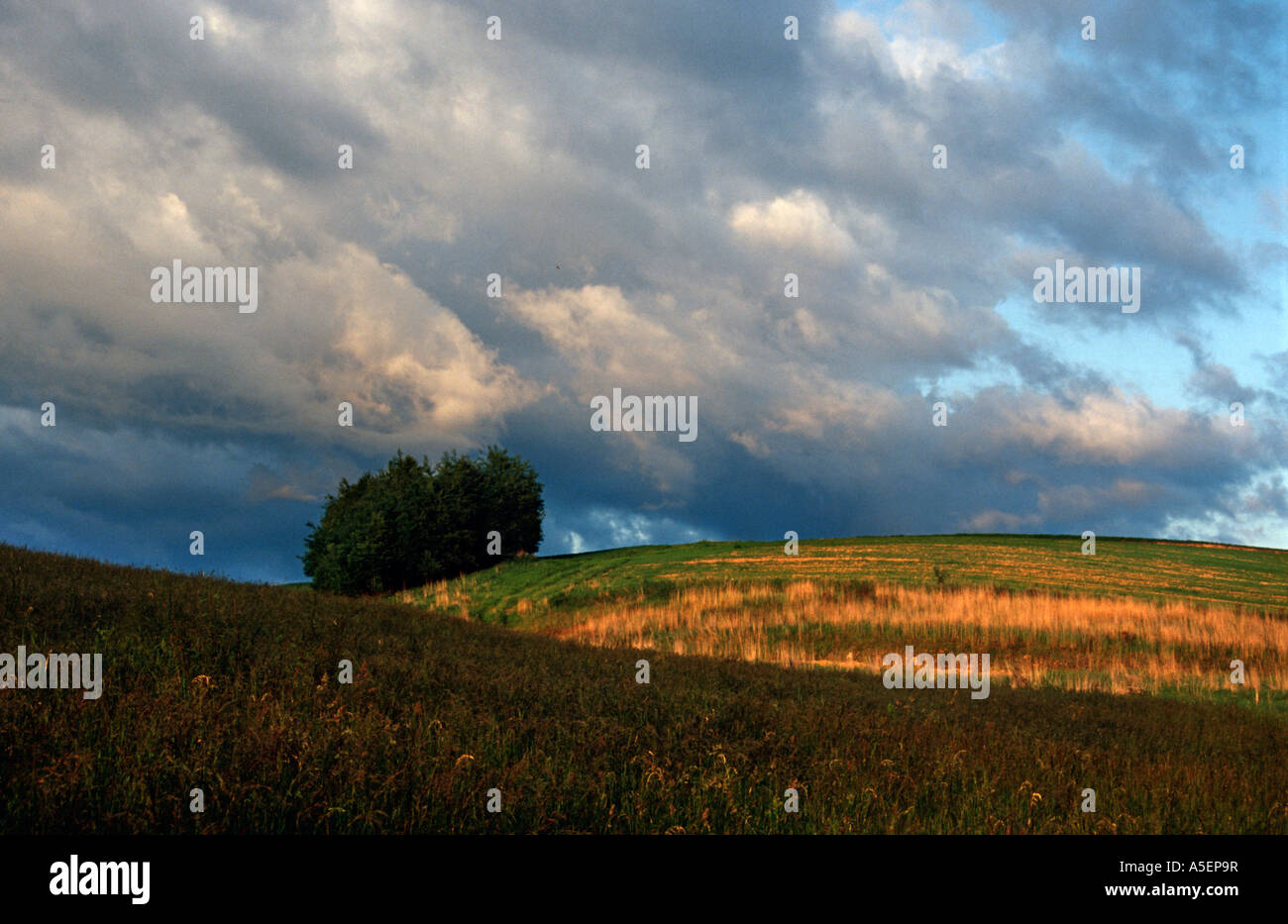Roztocze Region in South East Poland Stock Photo - Alamy