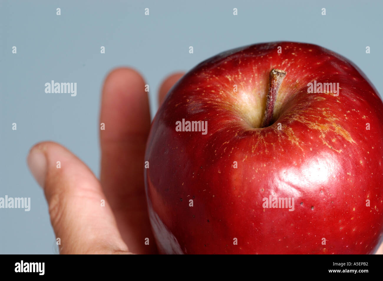 hand holding apple Stock Photo - Alamy