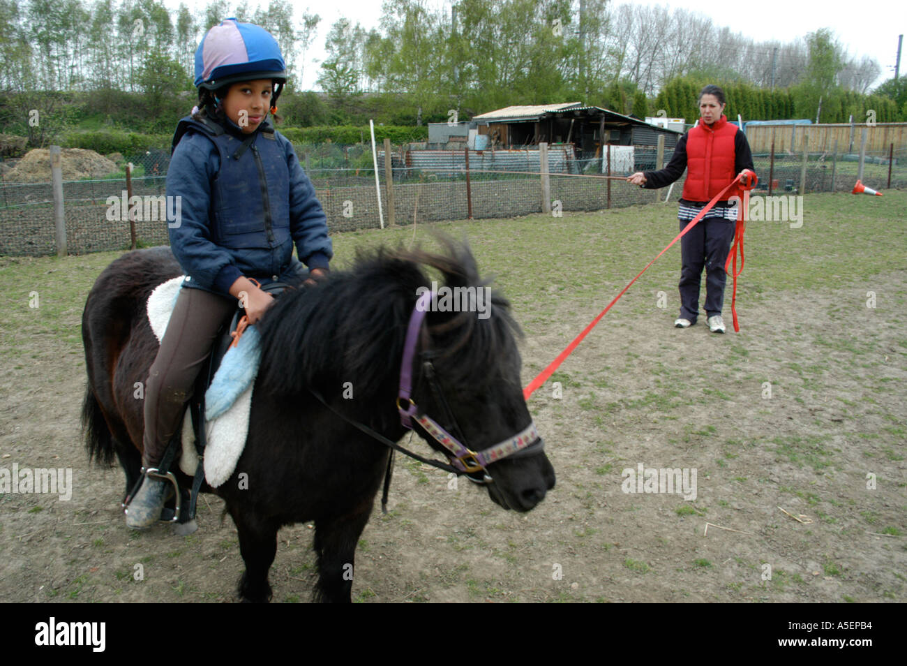 black girl with shetland pony learning to ride with her mother Stock ...