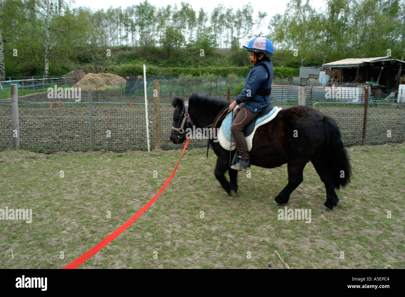 black girl with shetland pony learning to ride Stock Photo - Alamy
