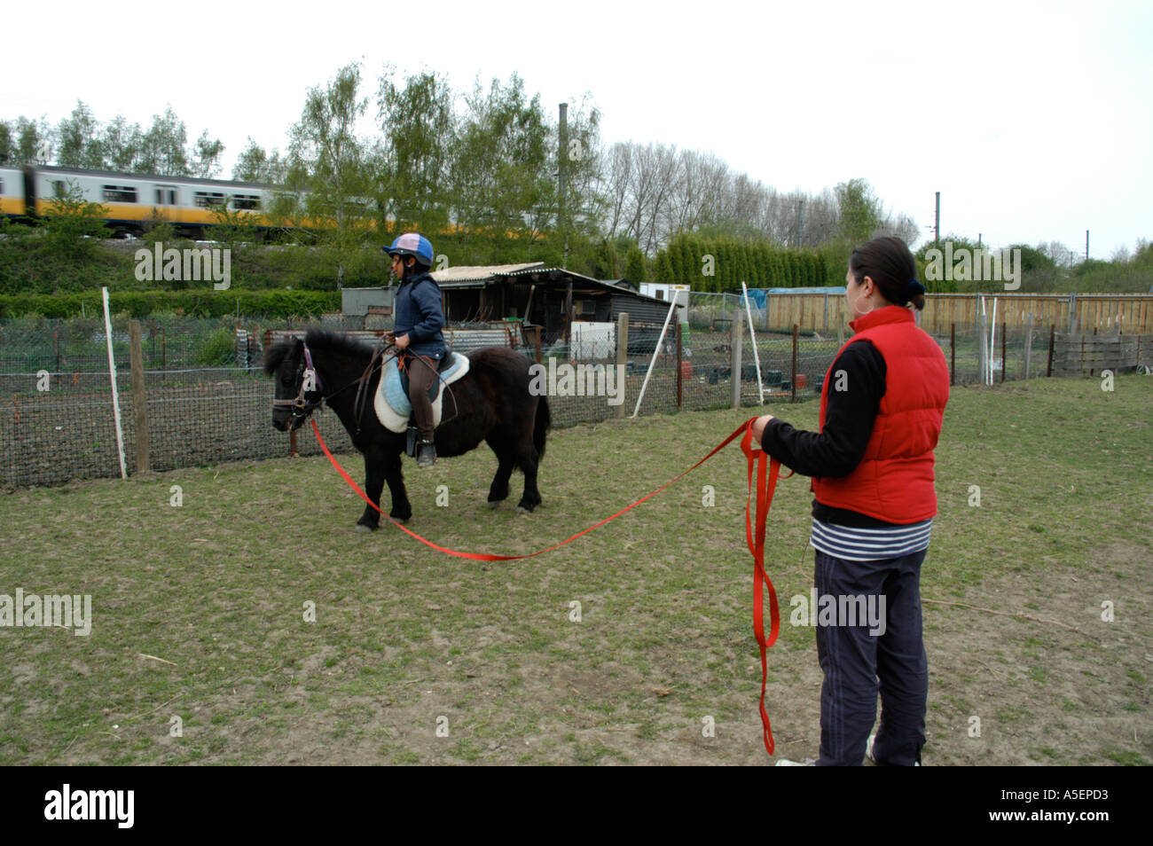 black girl with shetland pony learning to ride with her mother in a ...