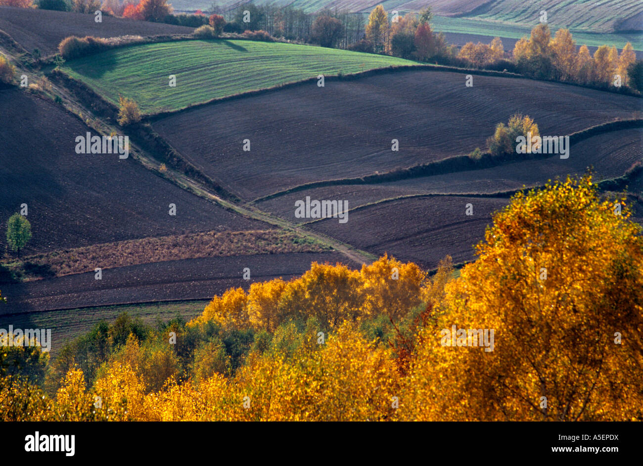 Roztocze region in south east Poland Stock Photo - Alamy