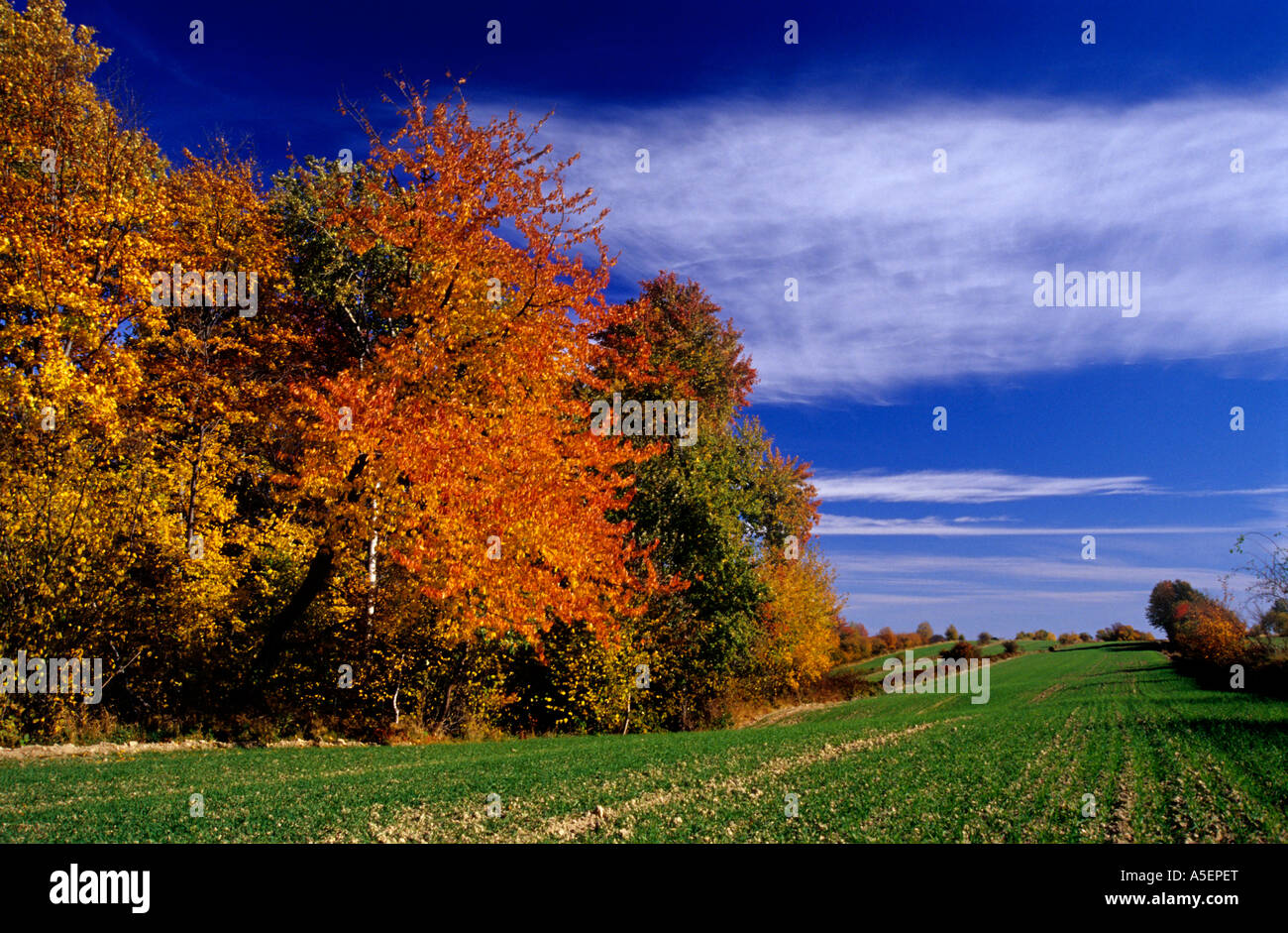 Roztocze region in south east Poland Stock Photo - Alamy